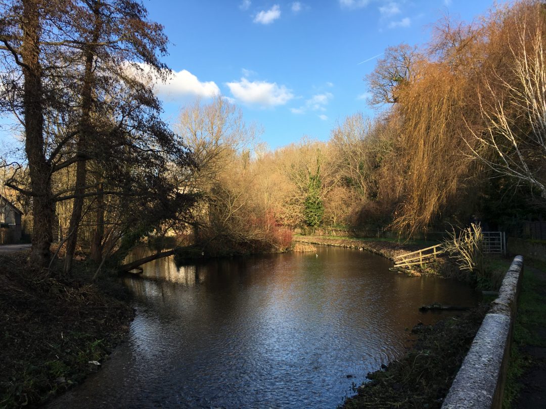 Valley Conservation Society | Conservation in the Loose Valley, Kent
